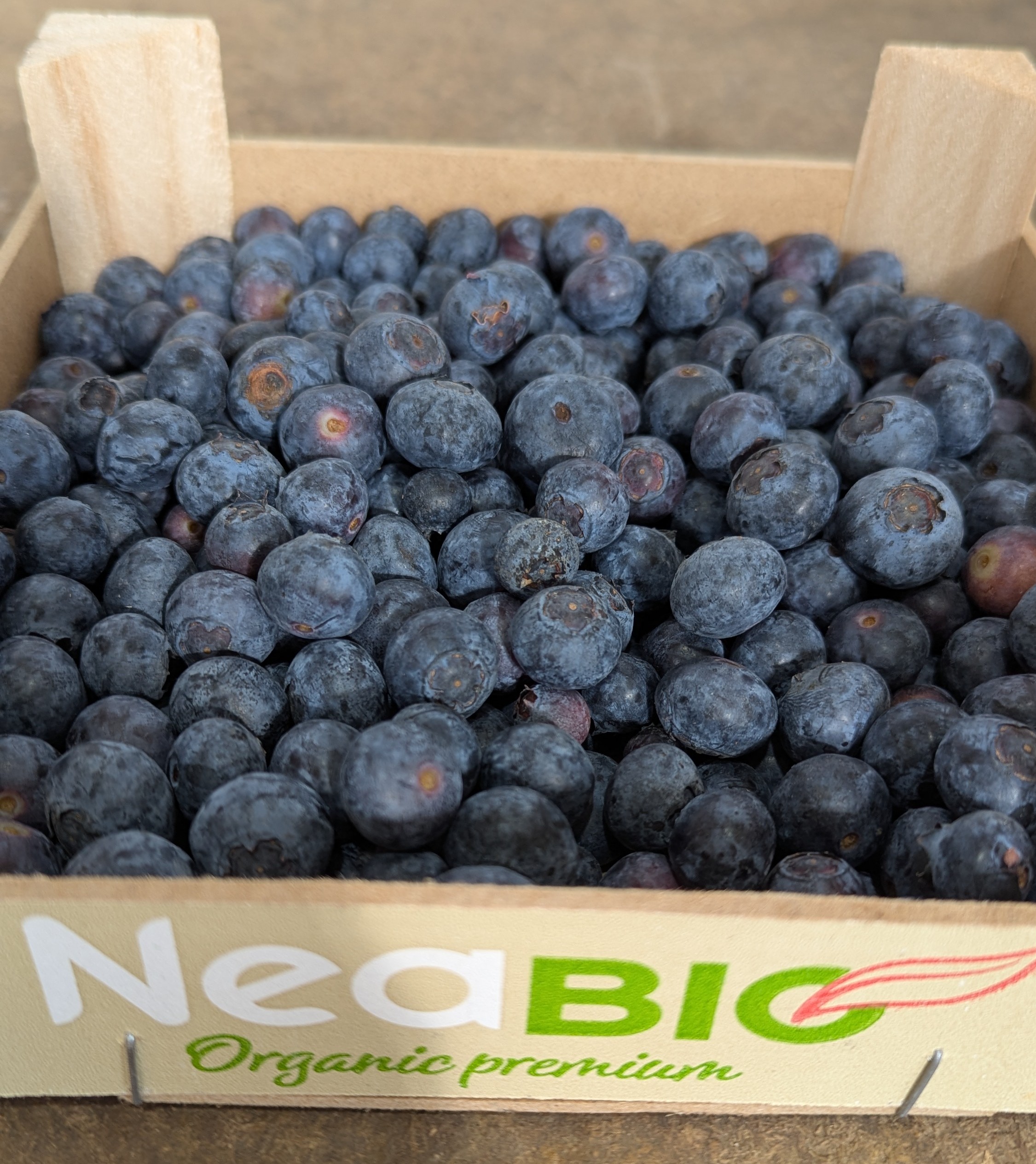 Blueberry small box 600g - Langridge Organic Products Ltd